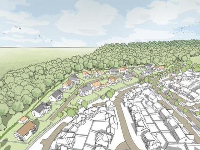 Wynyard Woods, Wynyard, Plot For Sale