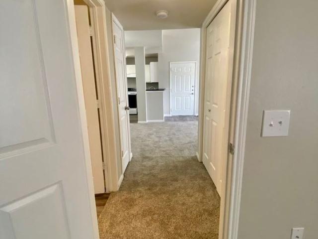 Wyndham Apartments 1 Bedroom Apartment for Rent at 4501 71st St, Lubbock, TX 79424