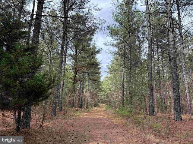 Wyatt Farm Rd, Dry Fork, VA 24549