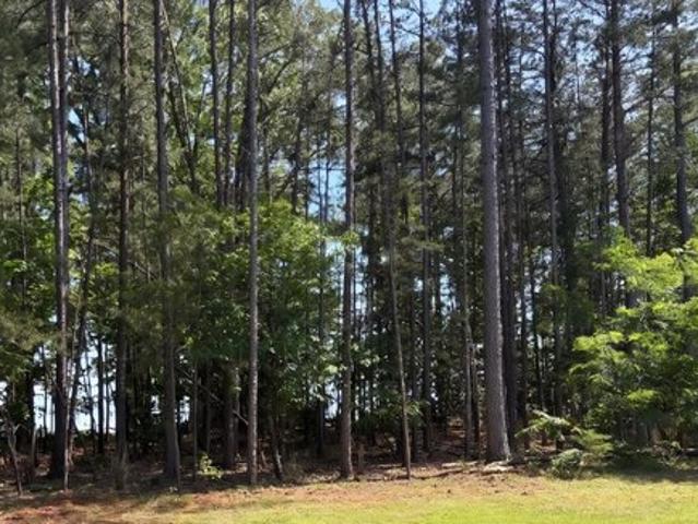 Wyatts Way, Evington, VA 24550