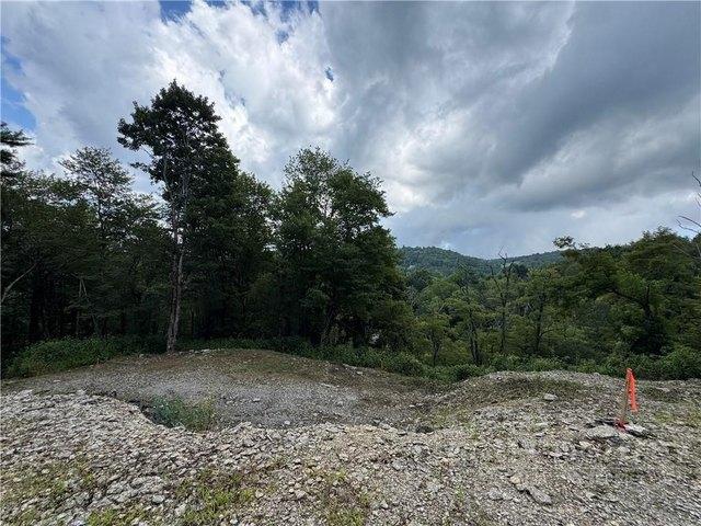 Wyeth Dr, Blowing Rock, NC 28605