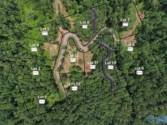 Wyeth Dr Lot 6, Guntersville, AL 35976