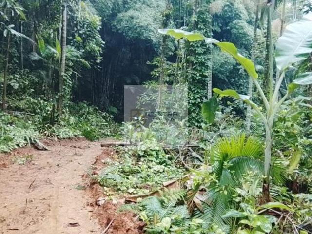 📍  1 Alqueire à Venda no Bairro Tudunduva – Excelente Localização