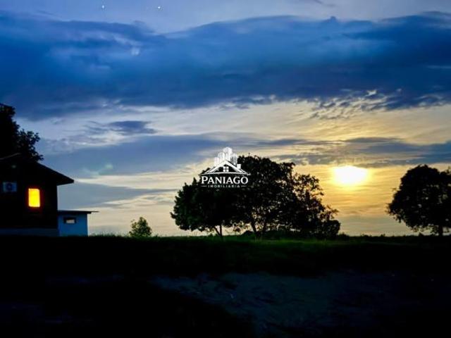 🌾  Fazenda 1550ha