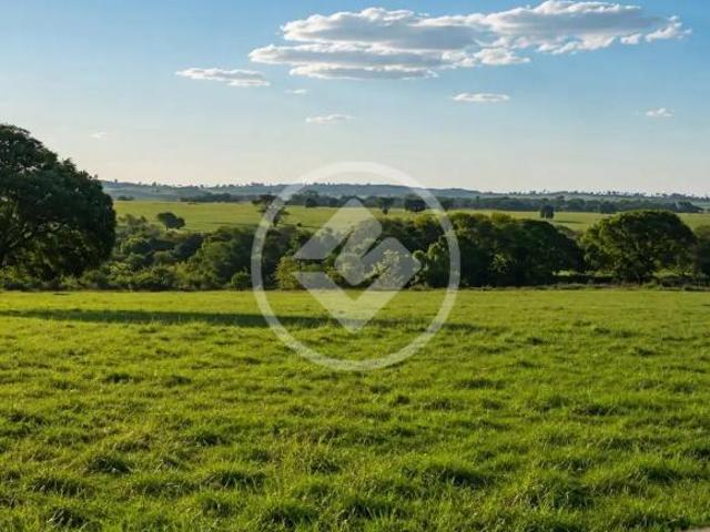 🌿  EXCLUSIVA FAZENDA DE DUPLA APTIDÃO EM PALMEIRAS DE GOIÁS codigo: 345964