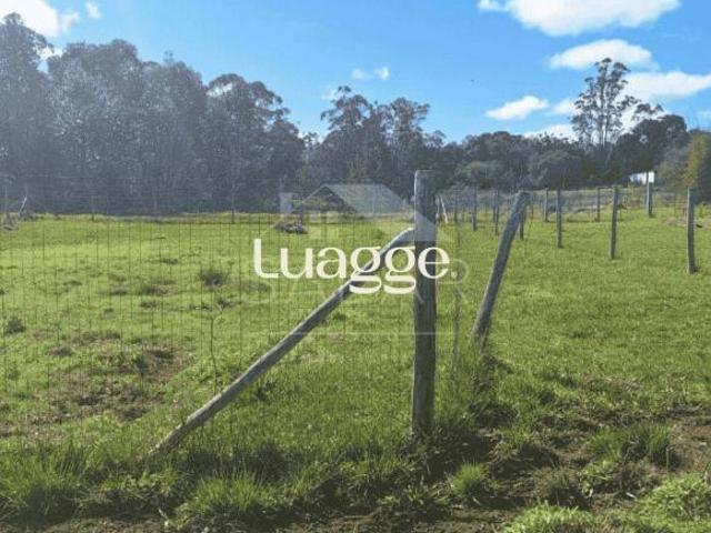 🌟  Oportunidade única! Terreno à venda em um local privilegiado, na RS 040 em Via