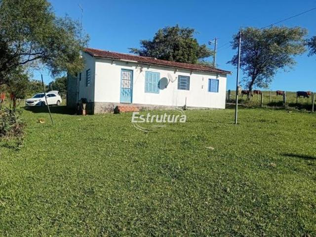 🌳  Chácara de 16.500 m² na Beira do Asfalto com Casa, Galpão e Pomar!