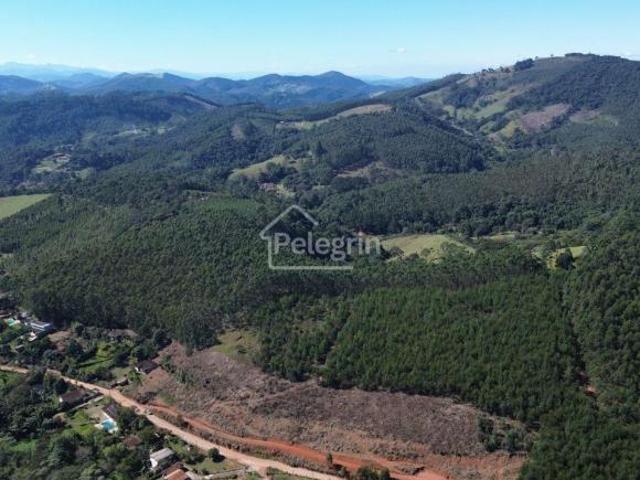 🌳  Excelente oportunidade em Nazaré Paulista!
