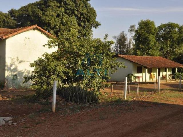 🌳  SÍTIO À VENDA – MARISTELA/SP 🌳