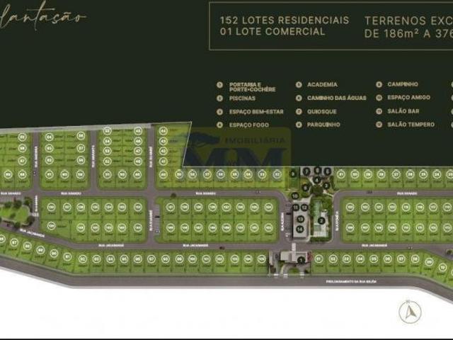 🌳  Reserva Amati: O Equilíbrio Perfeito Entre Natureza e Vida Urbana em São José