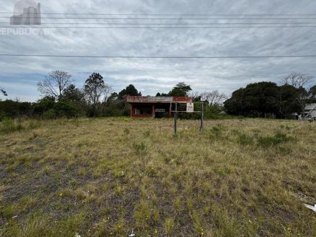 🏡  Terreno de 1 Hectare à Venda em Osório – Estrada do Mar de frente, RS com laud