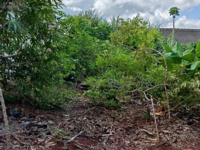 ✨  TERRENO DE 500m² NA VILA MORANGUEIRA EM MARINGÁ!