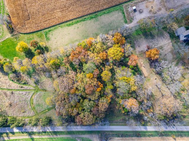 X North Boone School Road