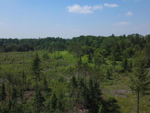 X Oleskie Trail