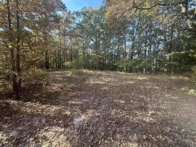 x X HORIZON PL, PEARCY, AR 71964 Vacant Land For Sale MLS# 24.