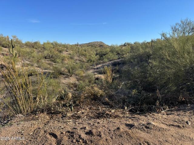 XX00H S Blue Tank Trail #