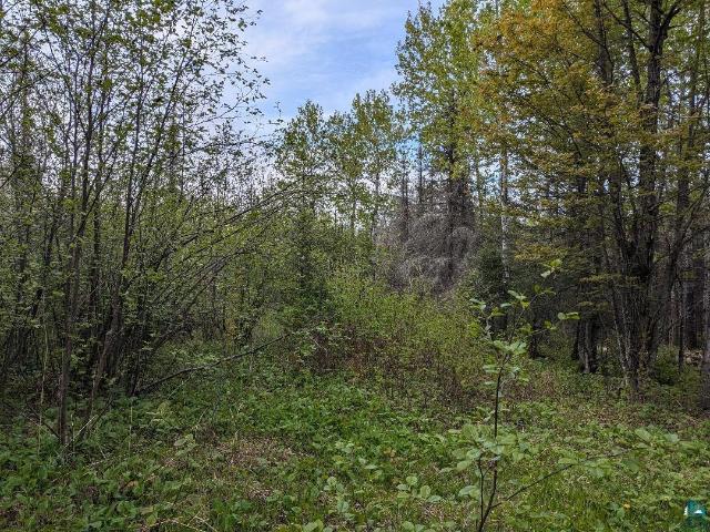 Xx37 W Lismore Rd, Duluth, MN 55803 | MLS #6120