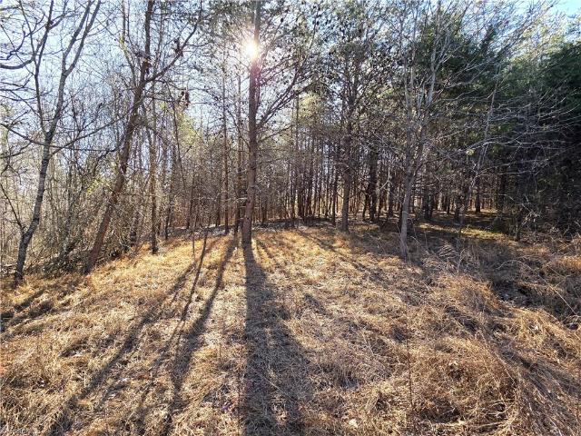 Xx 17.5 acres+ NC Highway 268