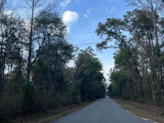 Xx White Oak Dr, Crawfordville, FL 32327 | MLS #394796