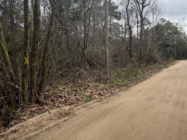 Xx Baby Farm Cir, Tallahassee, FL 32310 | MLS #395827