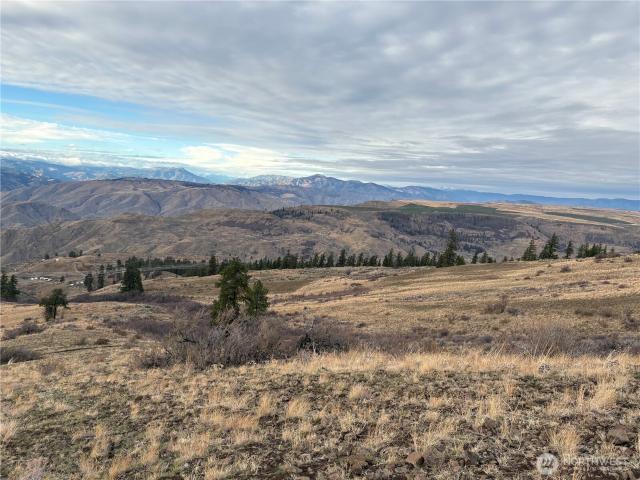 Xx Deer Crk Dr, Waterville, WA 98858 | MLS #2464 | Compass