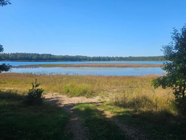 Xx E Bass Lake Dr, Webster, WI 54893 | MLS #6798