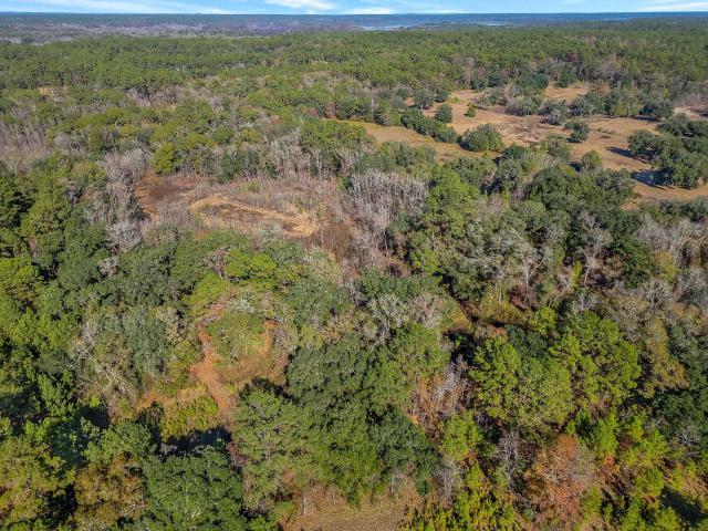 Xx Gardners Farm Rd, Tallahassee, FL 32312 | MLS #393896