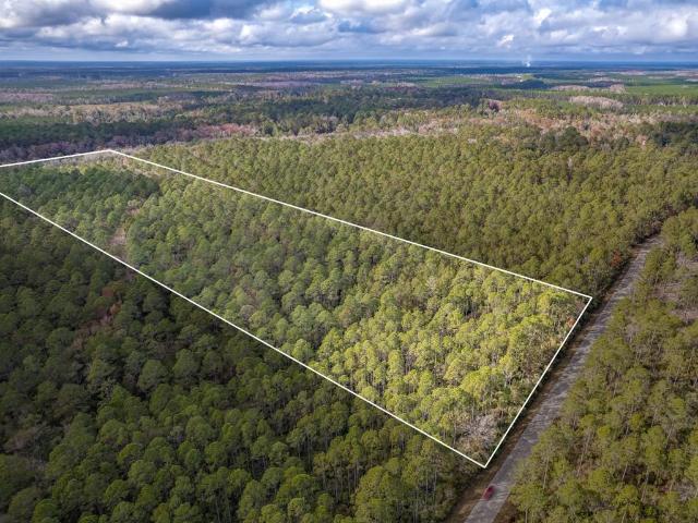 Xx Lighthouse Rd, Crawfordville, FL 32327 | MLS #380138