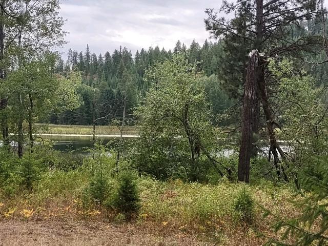 Xx Little Sweden Rd, Unit LOT D, Valley, WA 99181 | MLS #202620