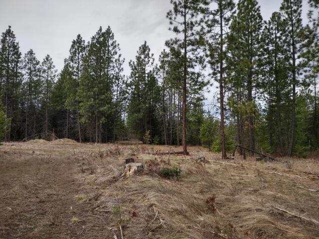 Xx Lyons Hill Rd, Springdale, WA 99173 | MLS #202614