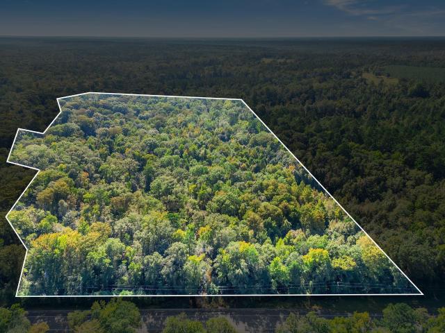 Xx Pat Thomas Pkwy, Quincy, FL 32351 | MLS #380419 | Compass