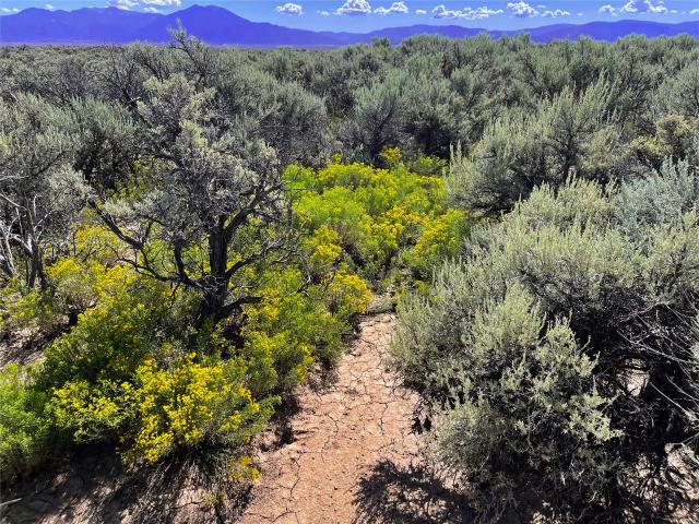 XX Rim Road CB 115. Parcel B Rancho Sabina DesGeorges