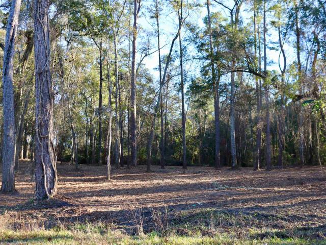 Xx Shiver Rd, Monticello, FL 32344 | MLS #367916