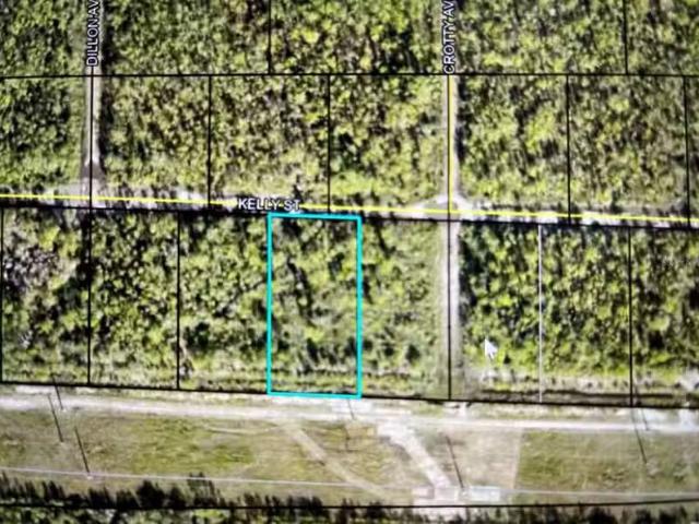 xyz Lot 1 Tippin St, Hastings, FL 32145 MLS FC295935