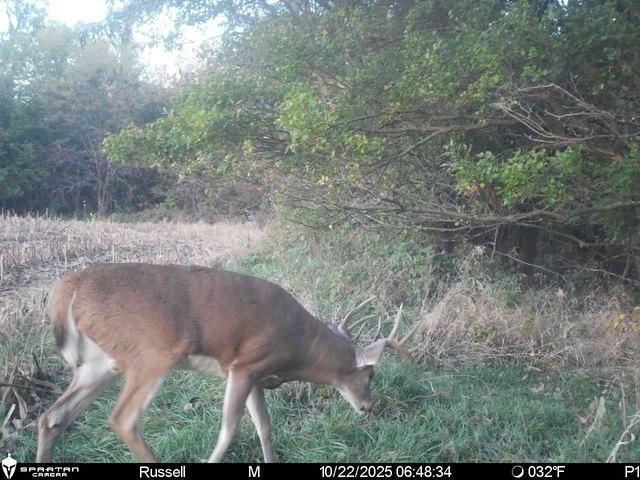 Y Ave, Westboro, MO 64498