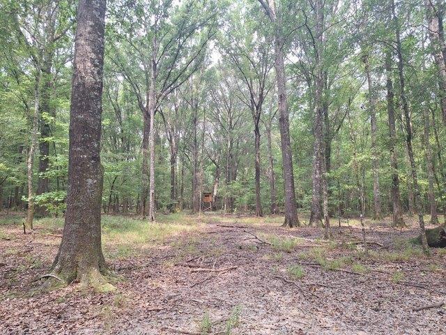 Y C Nichols Rd, Lowndesboro, AL 36752