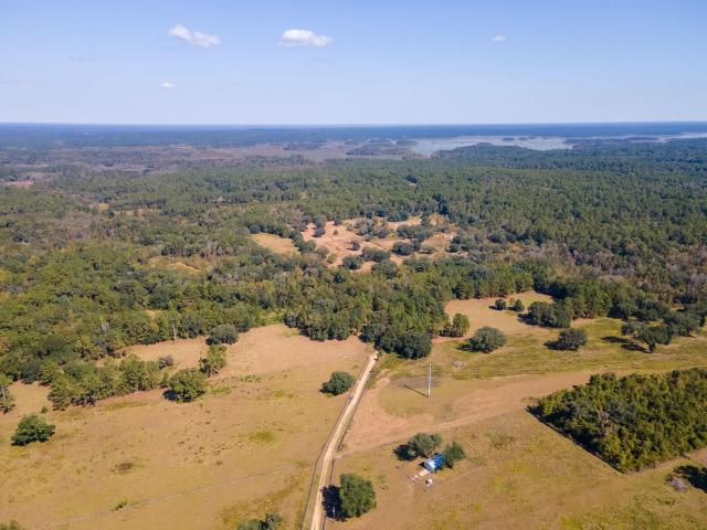 Y Gardners Farm Rd, Tallahassee, FL 32312 | MLS #392306