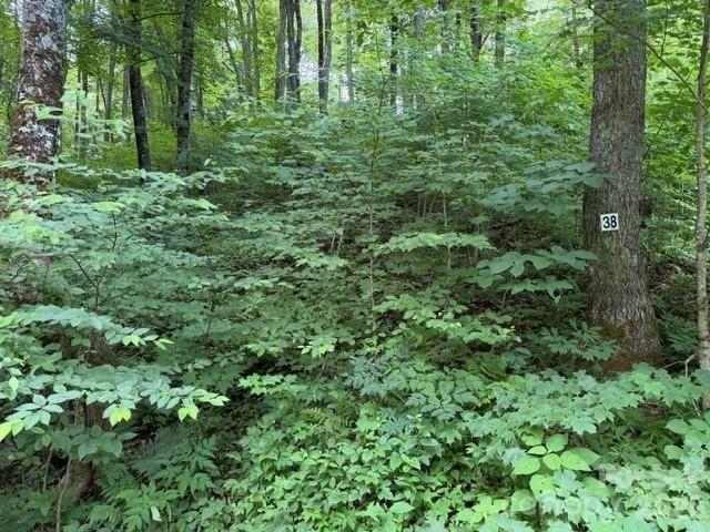 Yanasa Trl Lot 38, Maggie Valley, NC 28751