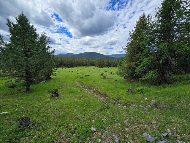 Yaak River Rd, Troy, MT 59935