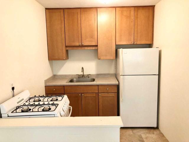 Yale Place 1 Bedroom Apartment for Rent at 48 27th Ave Se, Minneapolis, MN 55414 Prospect Park