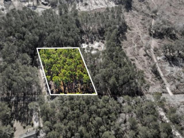 Yaremich Dr, Moncks Corner, SC 29461