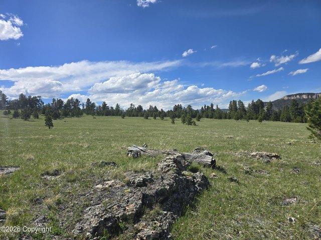 Yarro, Buffalo, WY 82834