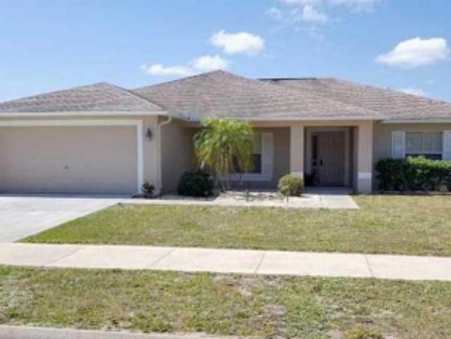 Yaupon Holly Dr