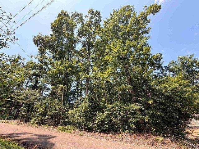 Yellow Creek Ln Lot 42K, Counce, TN 38326