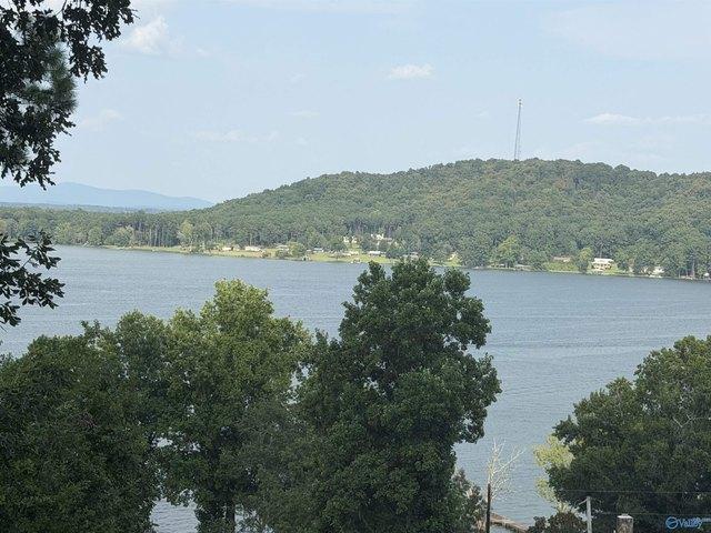 Yellow Creek Rd Lot 25, Leesburg, AL 35983
