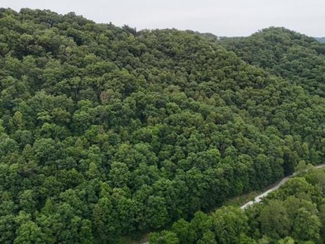 Yellow Creek Rd, Louisa, KY 41230