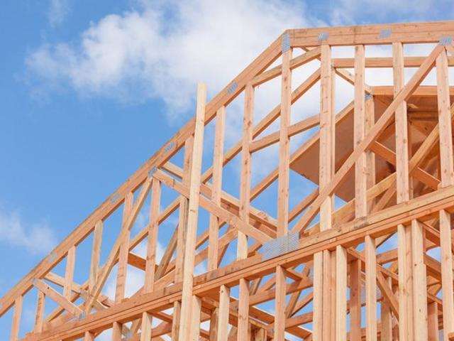 Yellow Bell Plan Verdancia Community