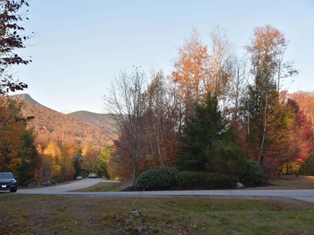 Yellow Birch Cir, Lincoln, Plot For Sale