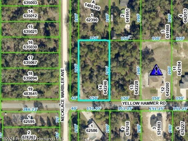 Yellow Hammer Rd, Weeki Wachee, Plot For Sale