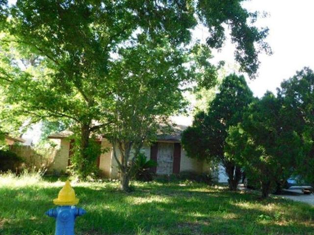 Yellow Pine Dr